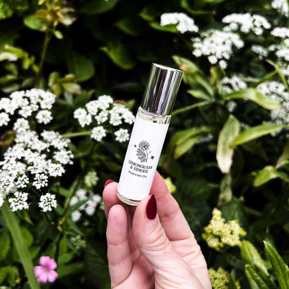Lemongrass & Ginger Perfume Oil – The Curiosity Society
